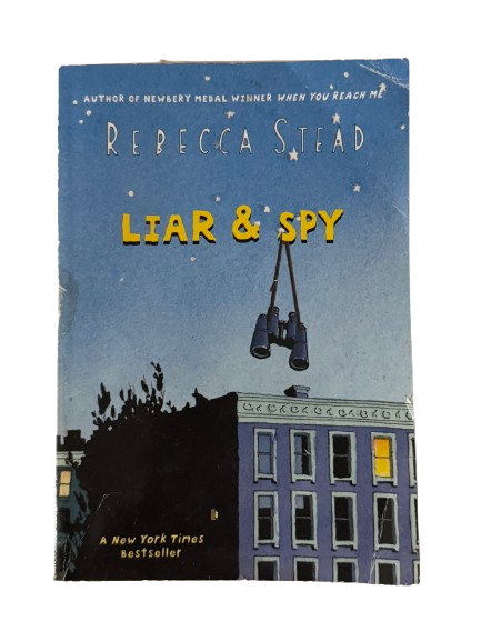 Liar & Spy Upcycled Book Journal | Red Barn Collections